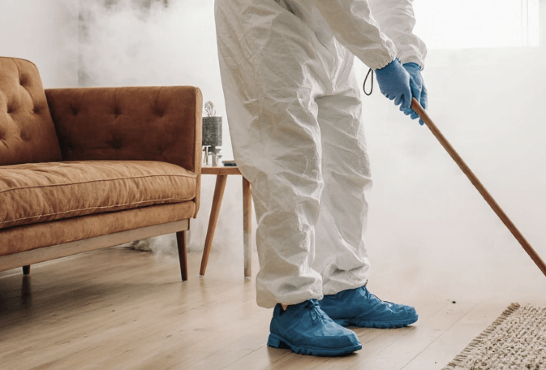 Pest Control - Pure AirDxB